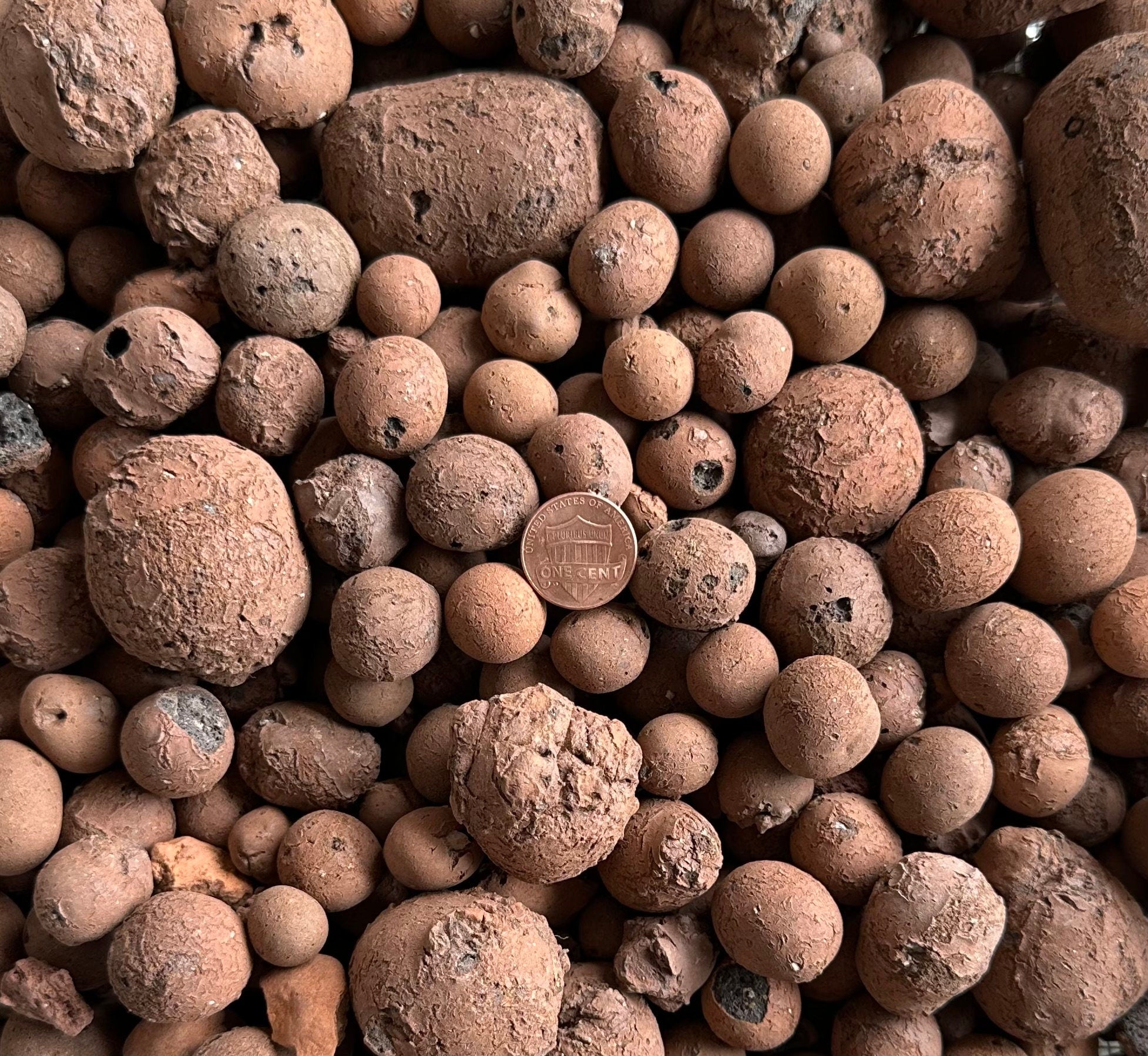 Horticultural Ceramsite Clay Balls, Pebbles Growing Media - Large Size ...