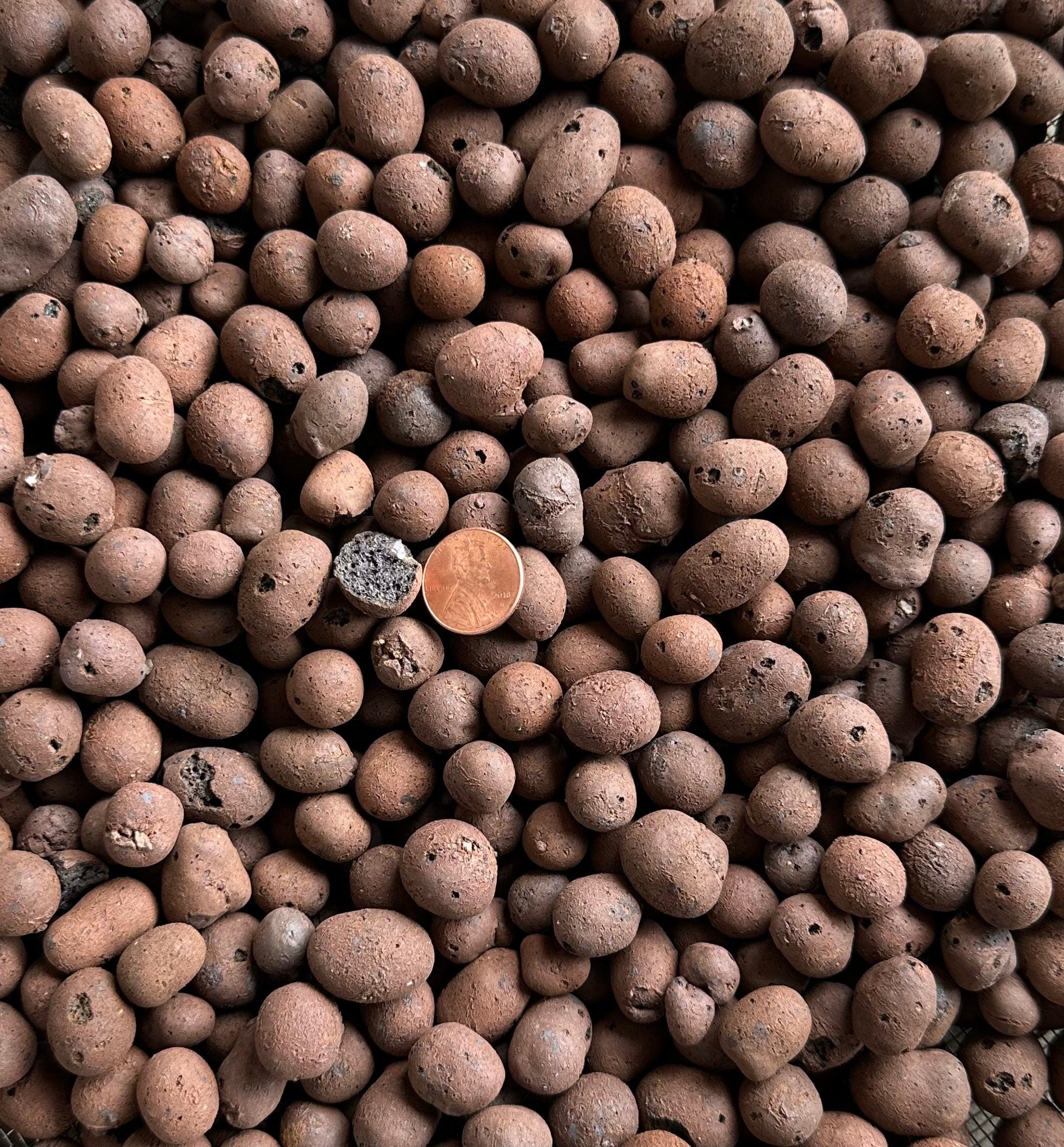 Horticultural Ceramsite Clay Balls, Pebbles Growing Media - Medium Siz ...